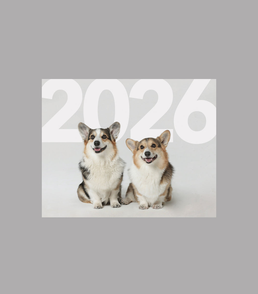 2026 Wall Calendar (35% off) – Brady & Graffiti the Corgis