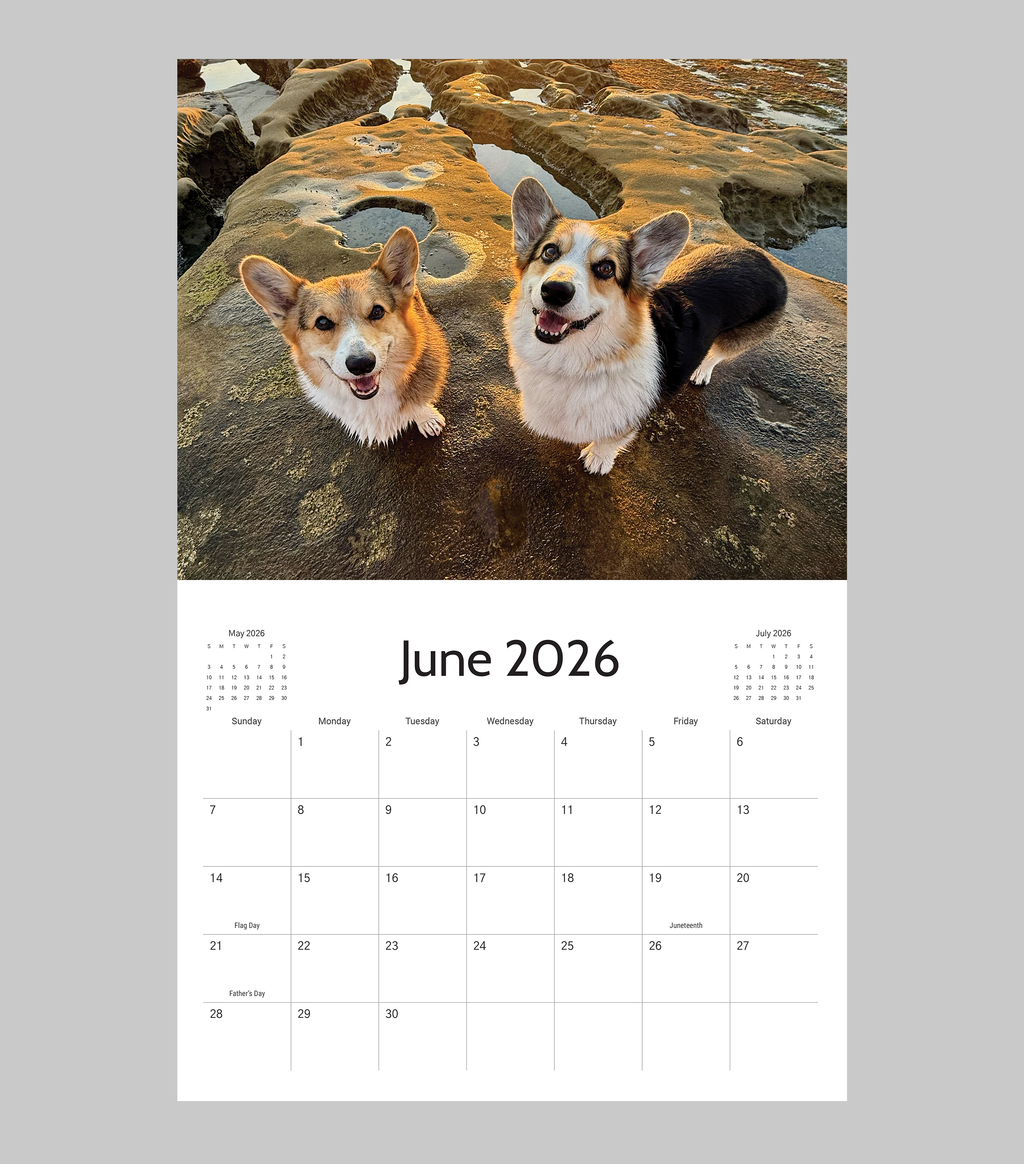 2026 Wall Calendar (35% off) – Brady & Graffiti the Corgis