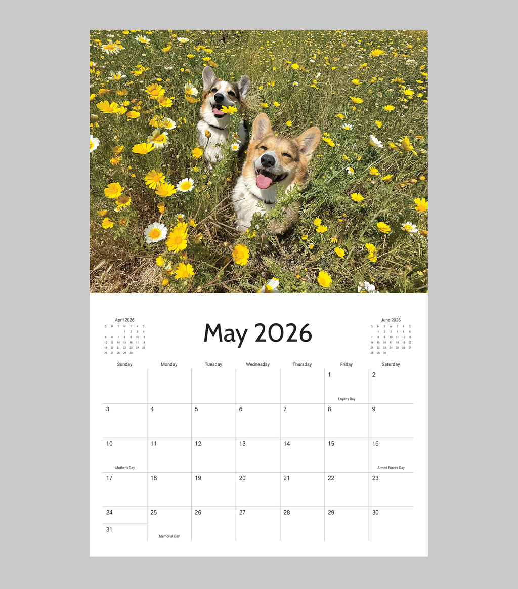 2026 Wall Calendar (35% off) – Brady & Graffiti the Corgis