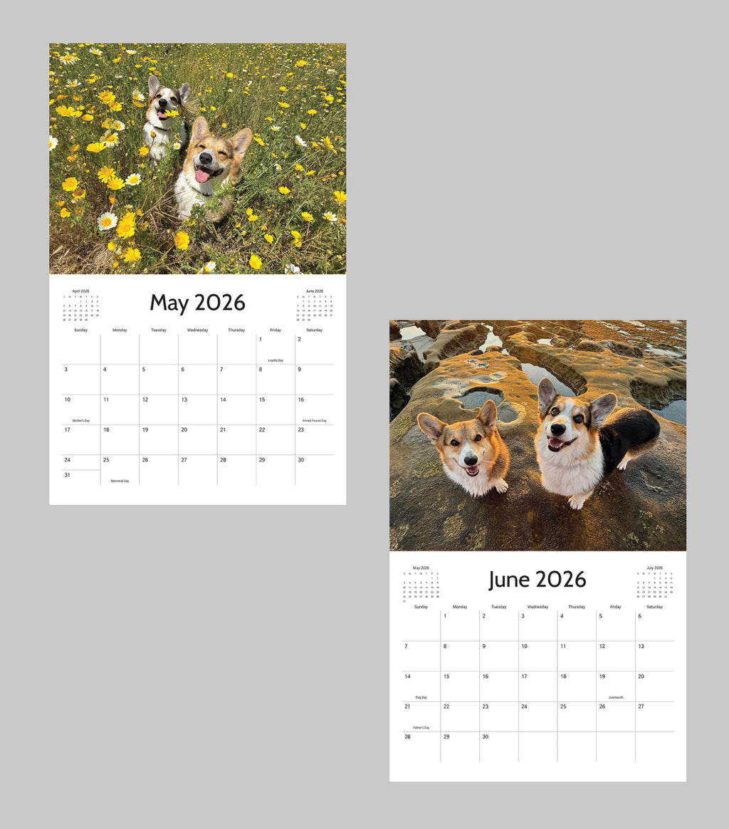 2026 Wall Calendar (35% off) – Brady & Graffiti the Corgis