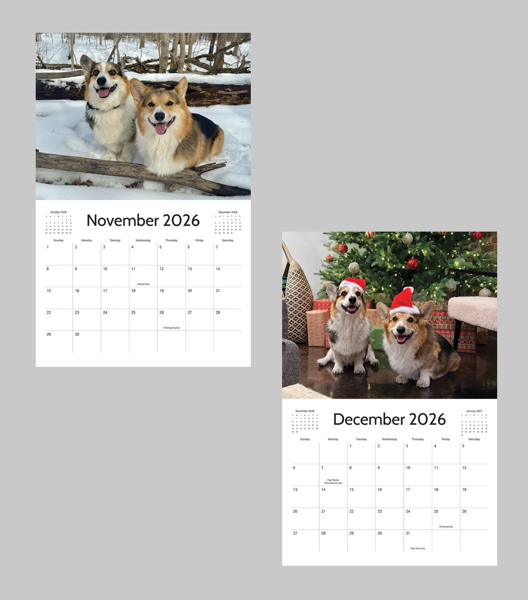 2026 Wall Calendar (35% off) – Brady & Graffiti the Corgis